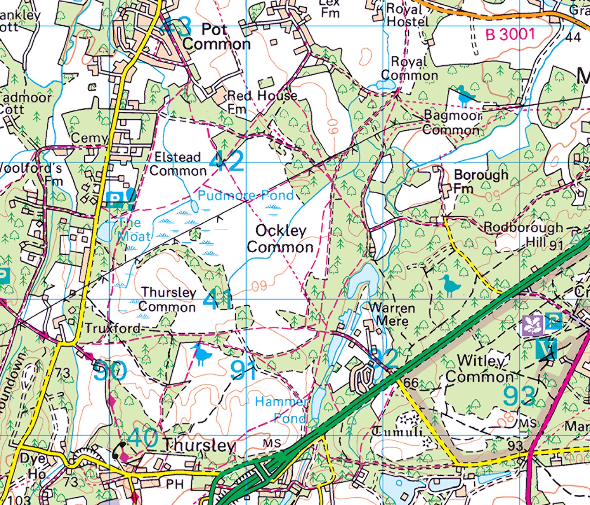 Walking at Thursley Common – Friends of Thursley Common NNR