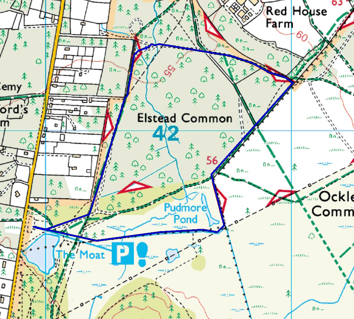 Walking at Thursley Common – Friends of Thursley Common NNR