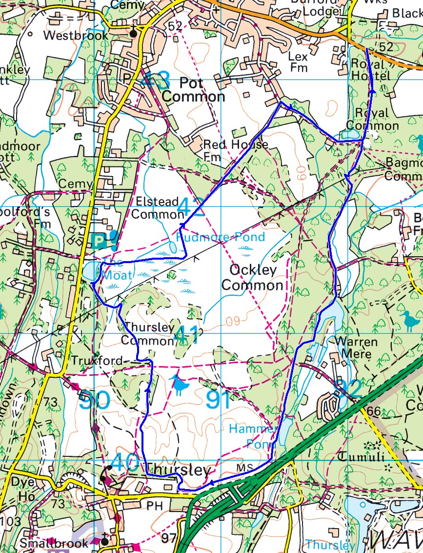 Walking at Thursley Common – Friends of Thursley Common NNR