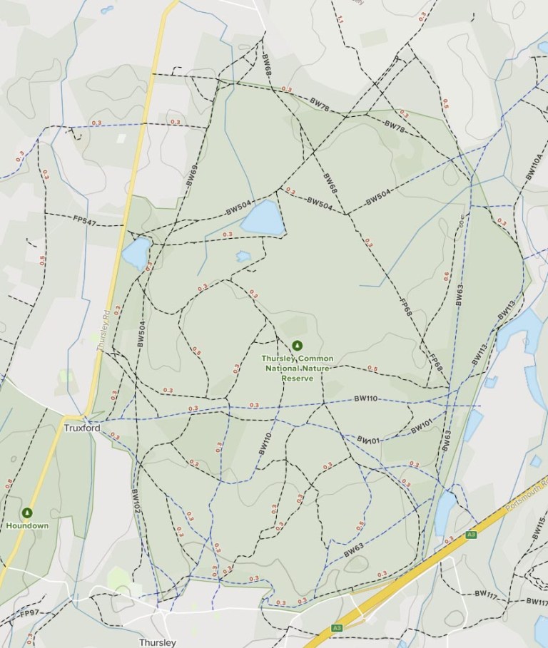 Walking at Thursley Common – Friends of Thursley Common NNR